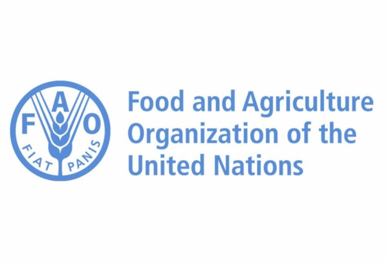 2023 United Nations (UN) FAO World Food Day Poster Contest for teens ...